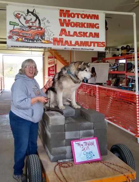 Colleen Belanger – Companion Dog Training Club of Flint